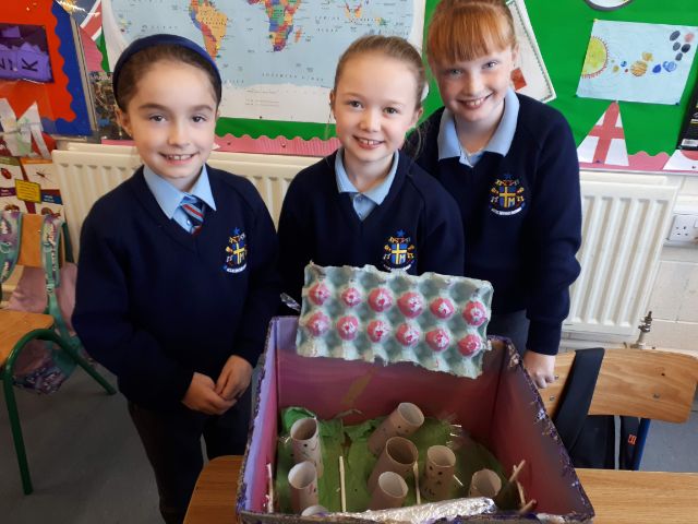 The Boher National School