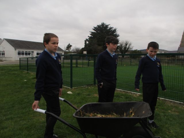 The Boher National School