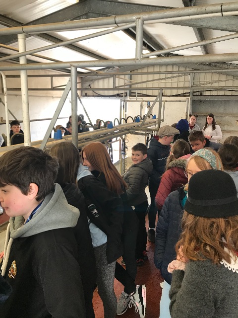 The Boher National School