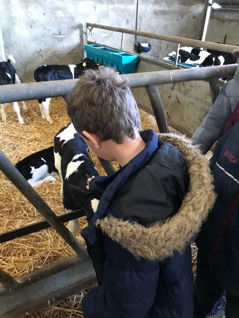 The Boher National School